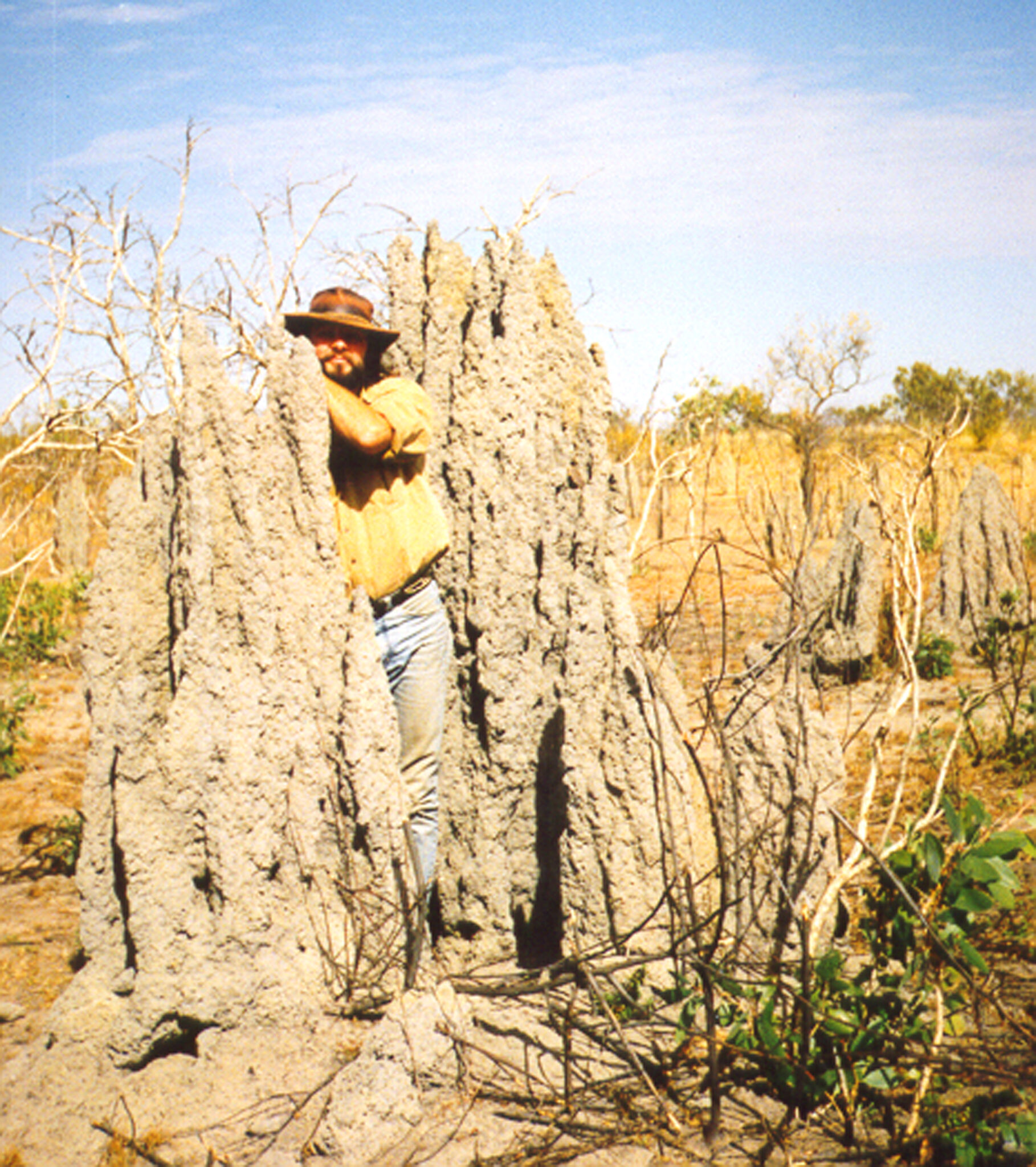 Waltzing Matilda – Amberbaum Verlag